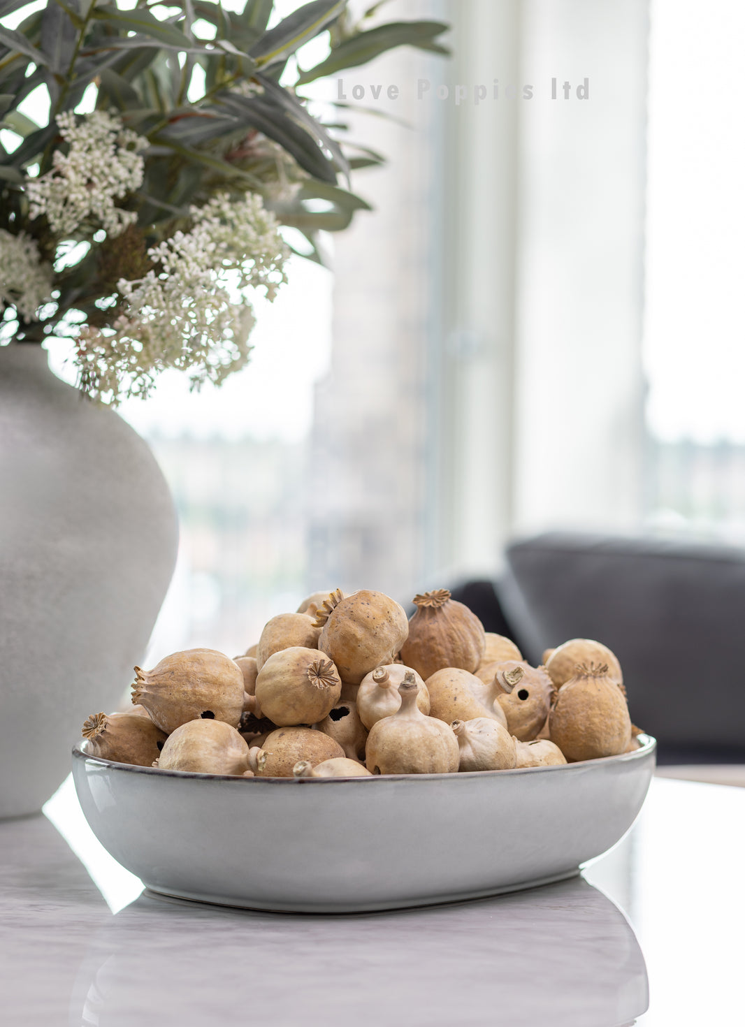 Dried Poppy heads – Love Poppies